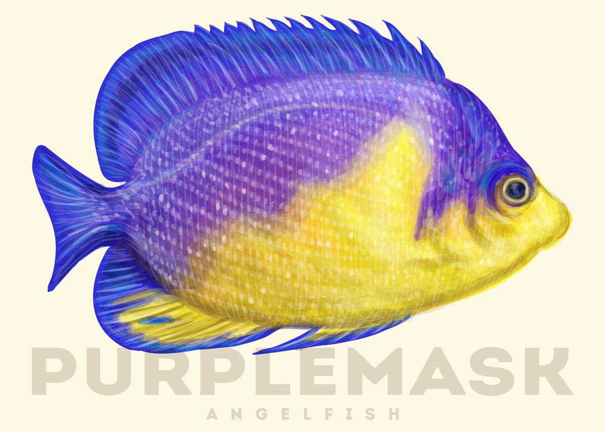 'PurpleMask AngelFish' Poster, picture, metal print, paint by Human ...