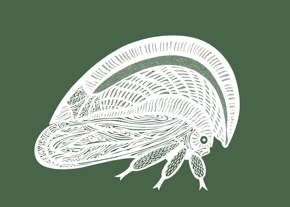 'Treehopper Insect Ink Art' Poster, picture, metal print, paint by ...