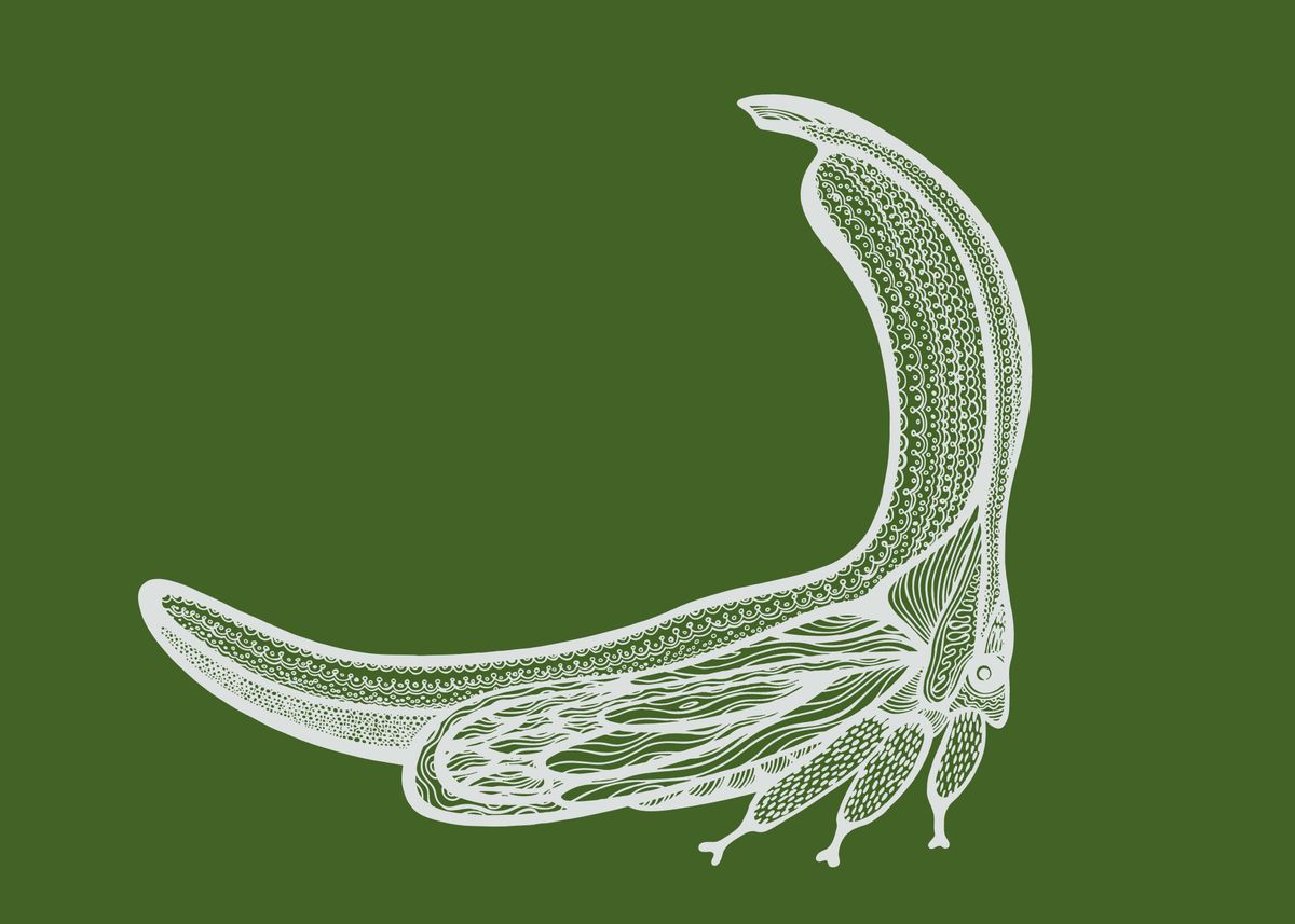 'Treehopper Bug Ink Art' Poster, picture, metal print, paint by Suzie ...