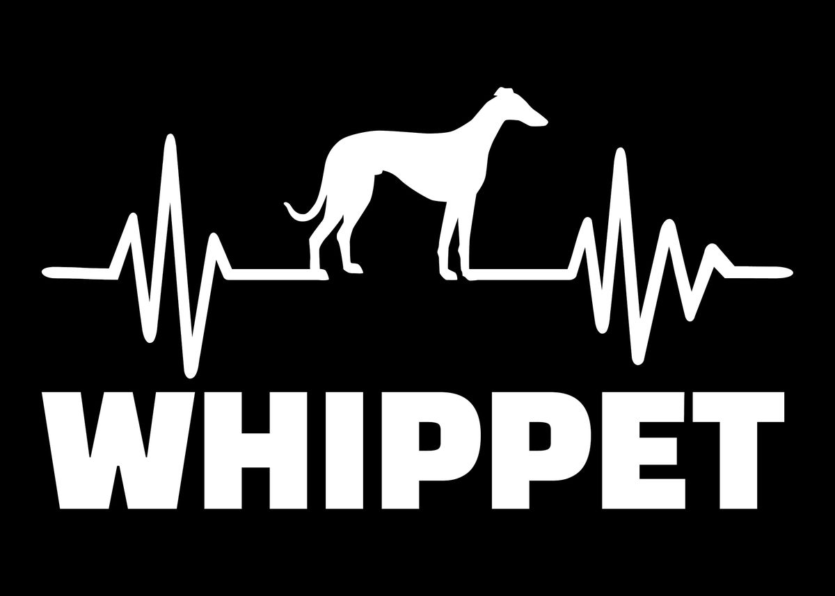 'Whippet' Poster, picture, metal print, paint by Designzz | Displate