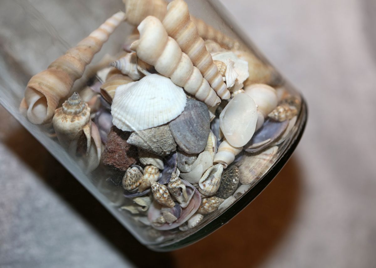 'Greek shells on elafonisi' Poster, picture, metal print, paint by ...