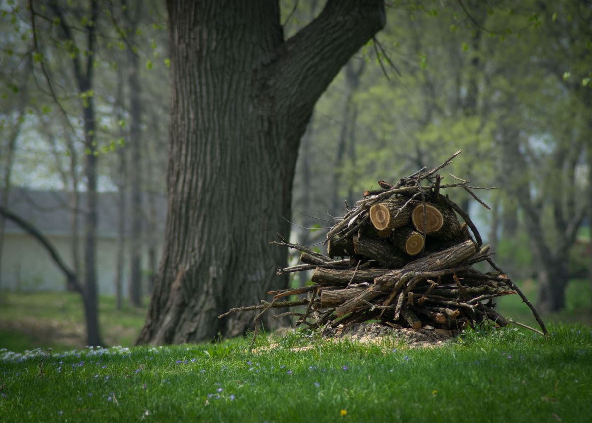 'Fire Timber' Poster by Digital Metamorphosis | Displate