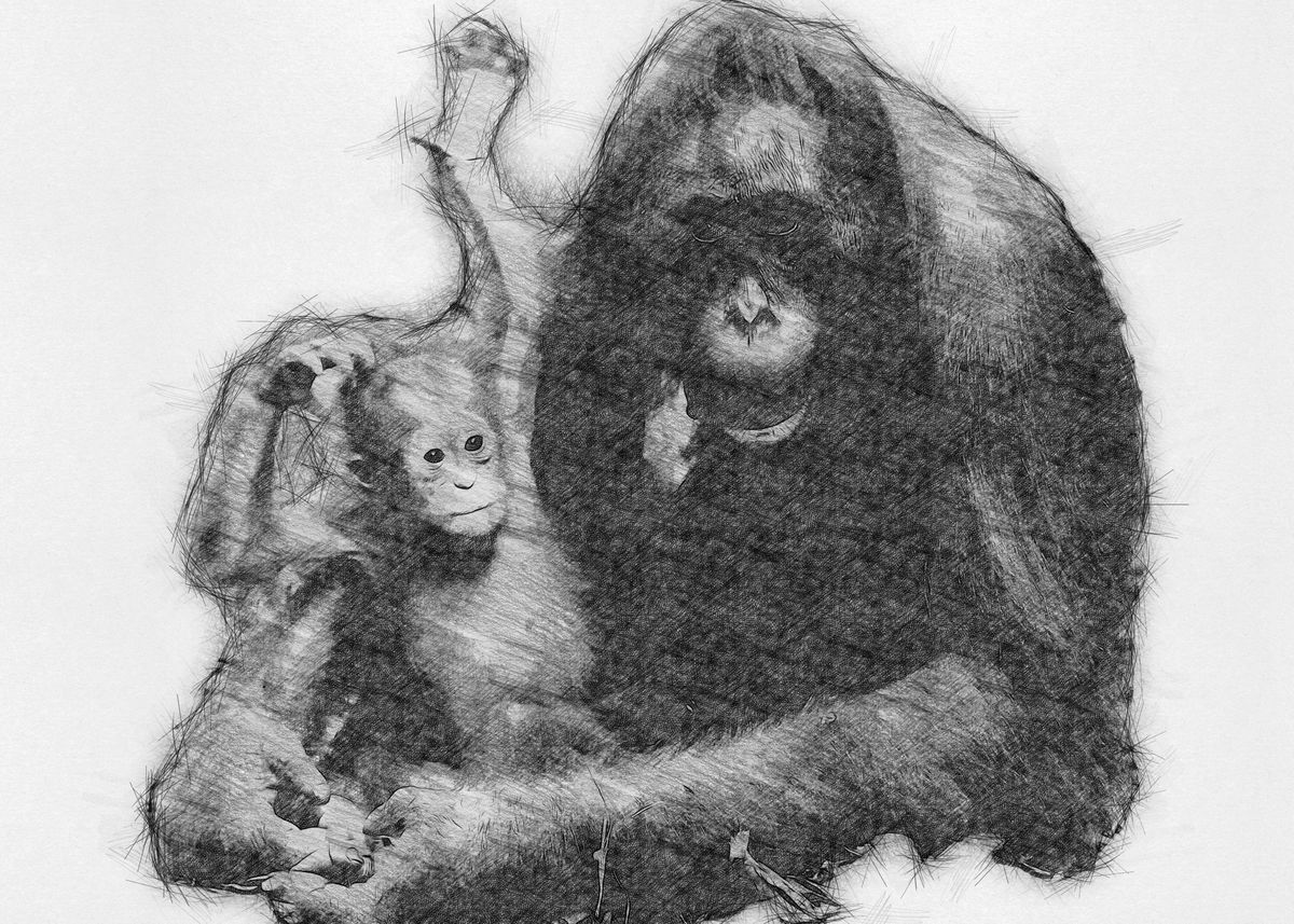 'Moneky Sketch Drawing Arts' Poster, picture, metal print, paint by ...