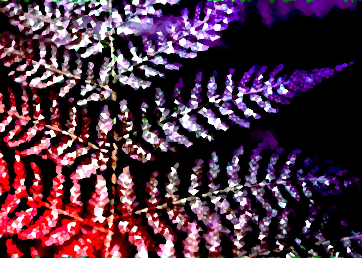 'Triangles Fern' Poster, picture, metal print, paint by Eli Paris ...