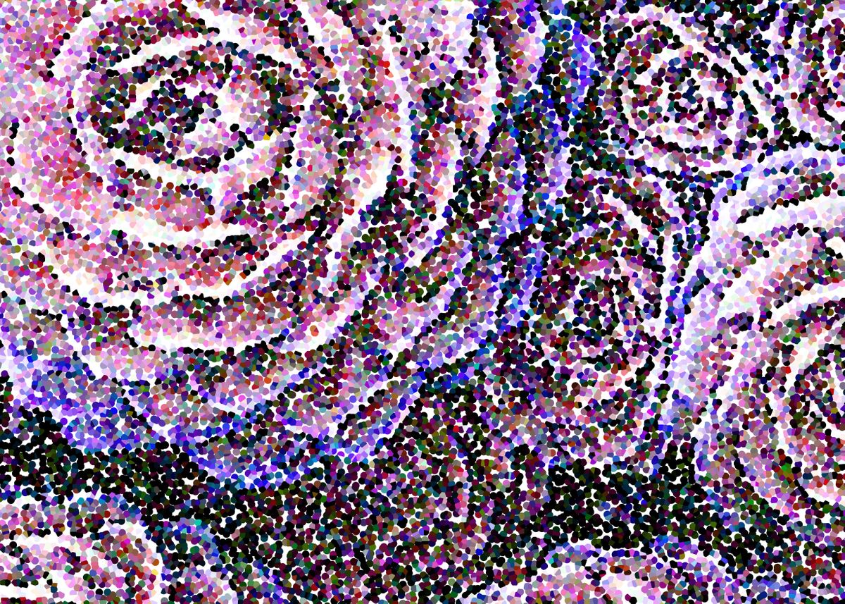 'Dotted Roses' Poster by Eli Paris | Displate