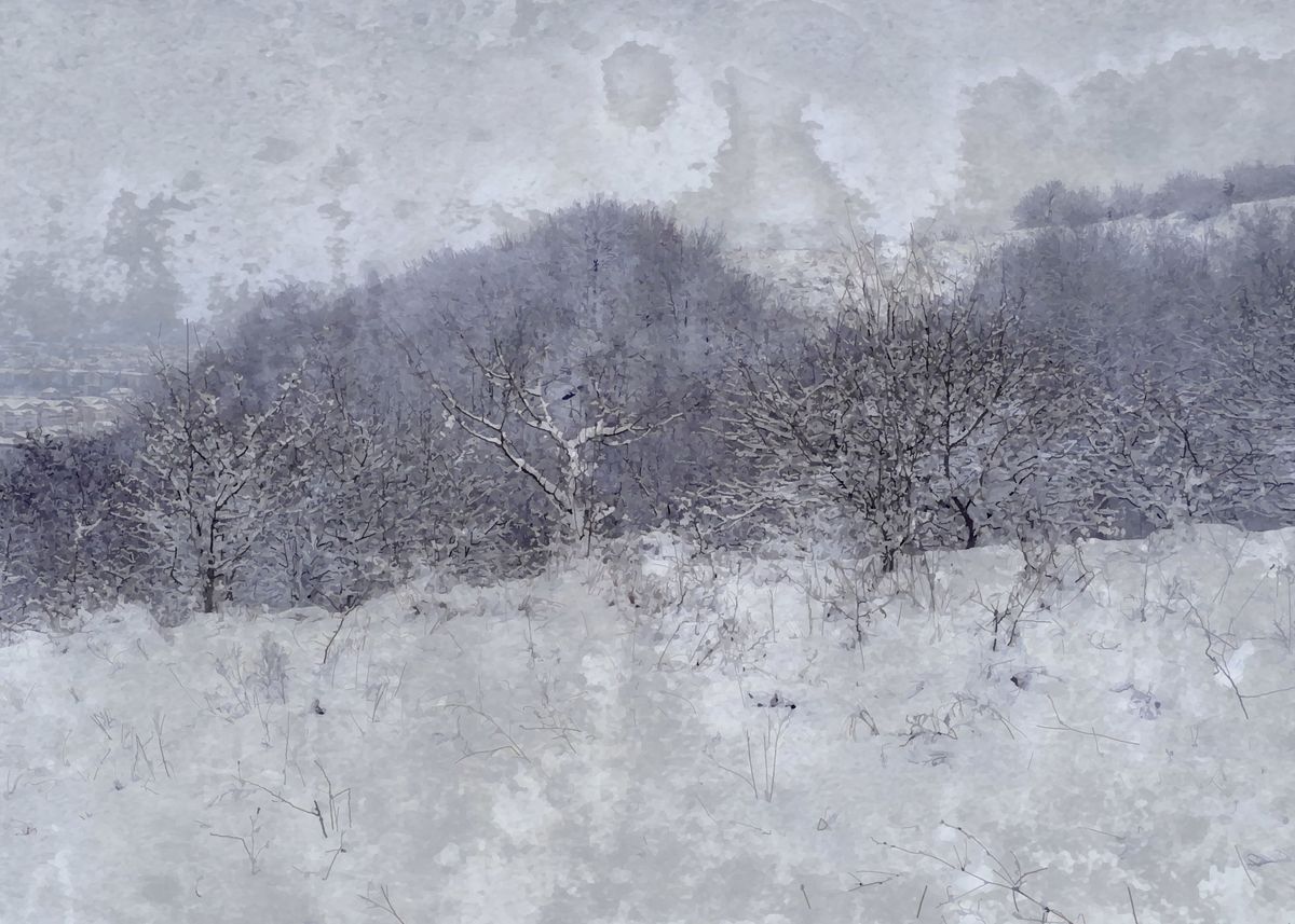 'Winter silence' Poster by Edy Art Space | Displate