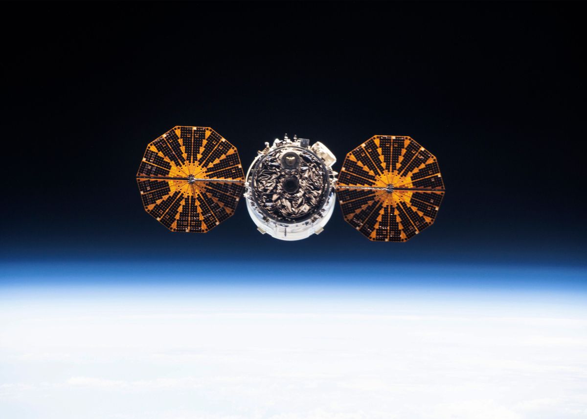 'Cygnus' Poster, picture, metal print, paint by Plim | Displate