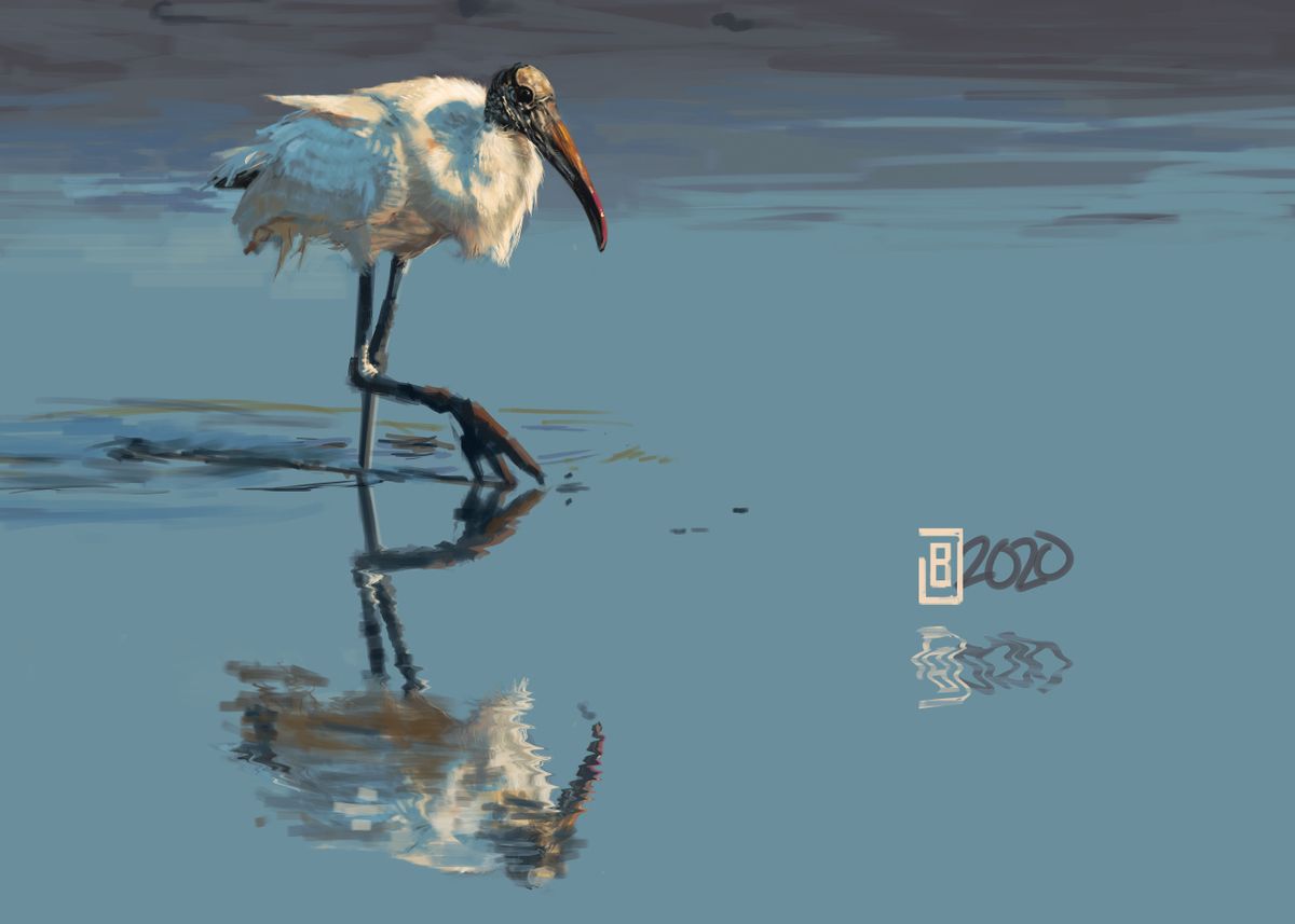'Wood Stork' Poster by Joseph Johnson | Displate