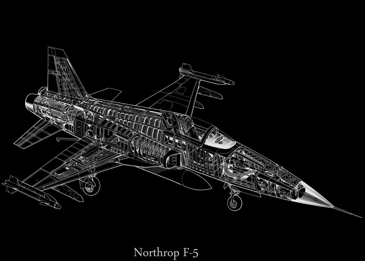 'Northrop F5' Poster, picture, metal print, paint by Retal | Displate
