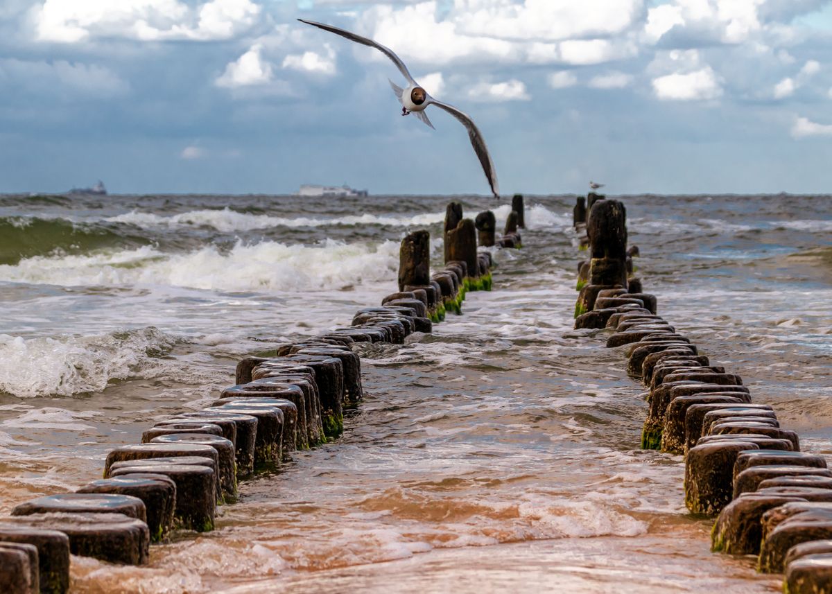 'Over breakwater barrier ' Poster, picture, metal print, paint by ...
