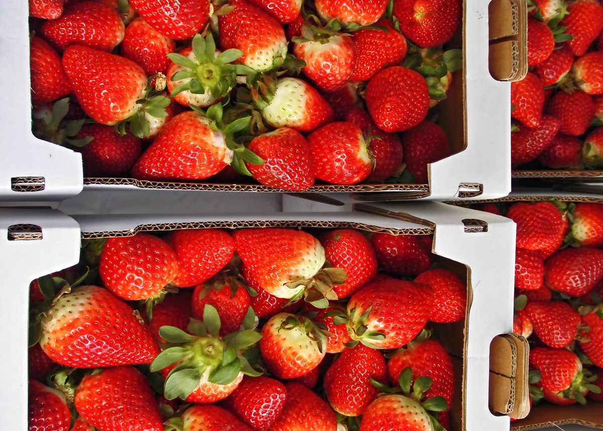 'First strawberries ' Poster by insideportugal | Displate