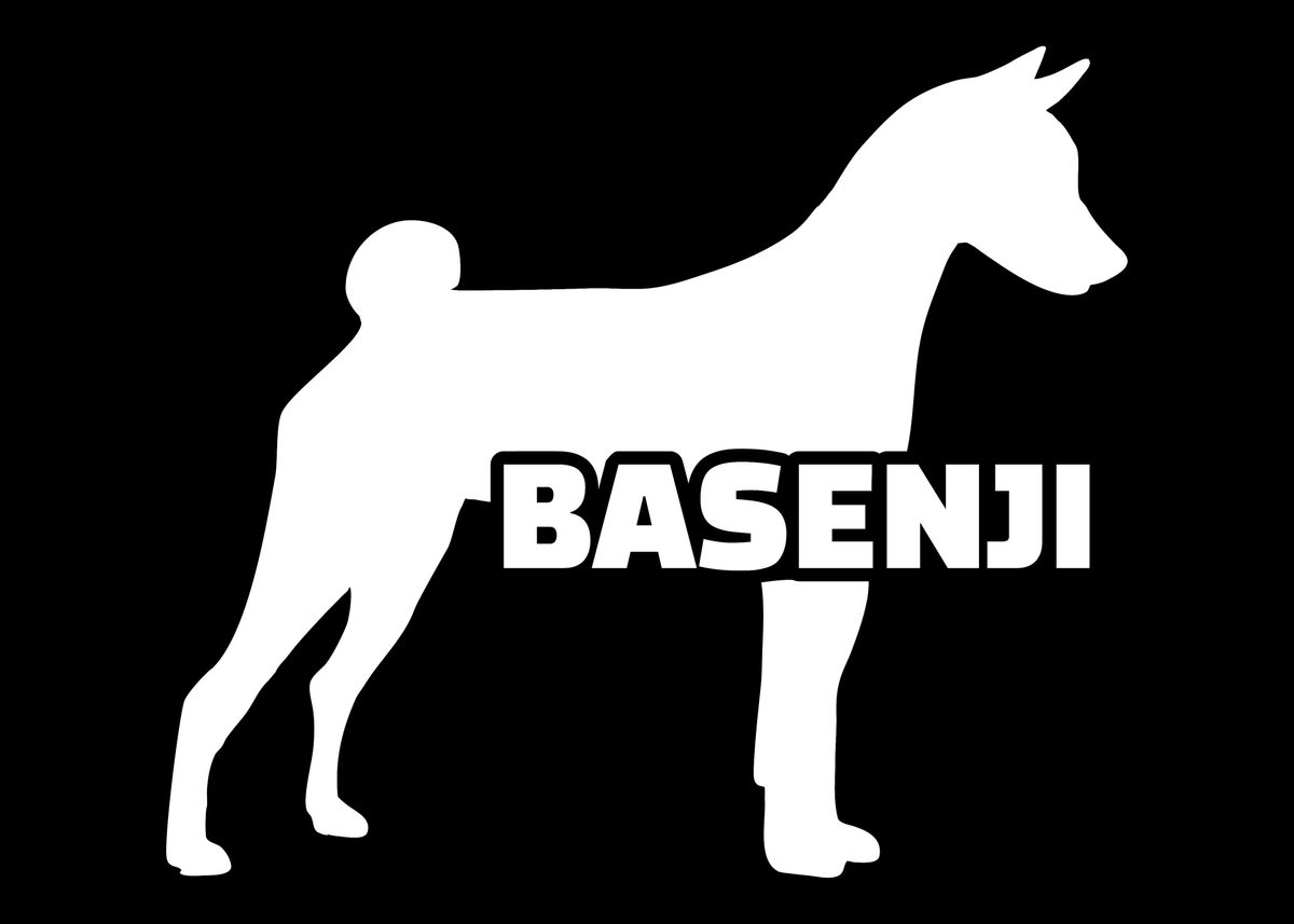 'Basenji' Poster, picture, metal print, paint by Designzz | Displate