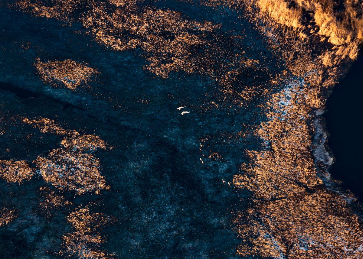 'Earth from above 3' Poster by Wiktor Borozdin | Displate