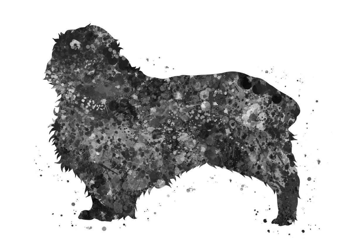 'Clumber Spaniel' Poster, picture, metal print, paint by Yahya Art ...