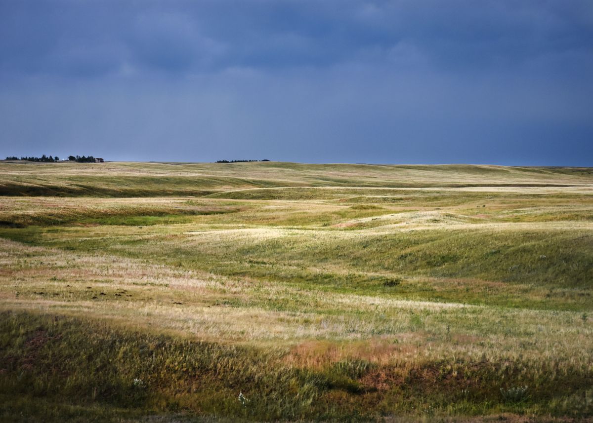 'Open Prairie ' Poster by MCowanJohnson | Displate
