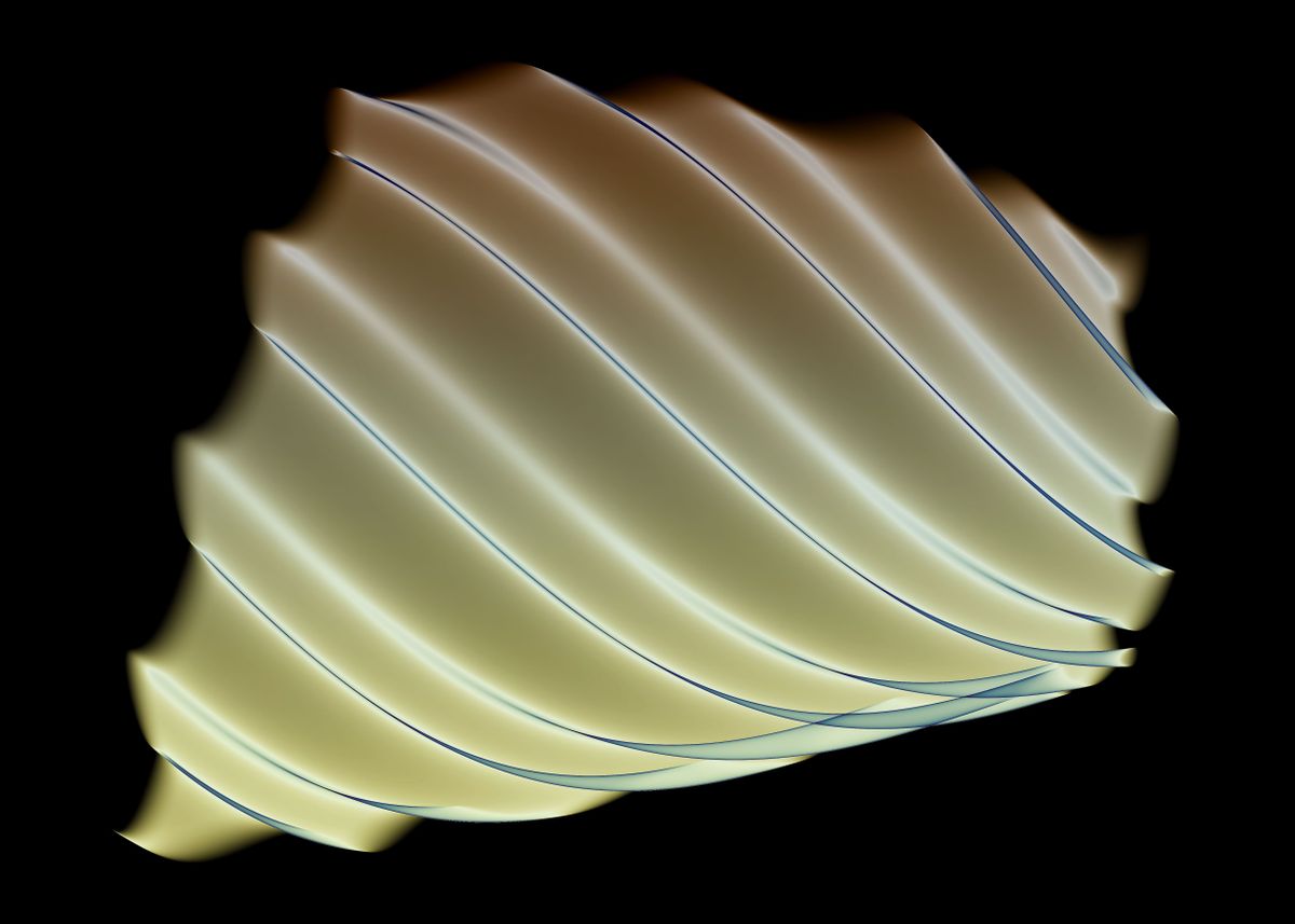 'Sea Shell ' Poster, picture, metal print, paint by Elaine Manley ...