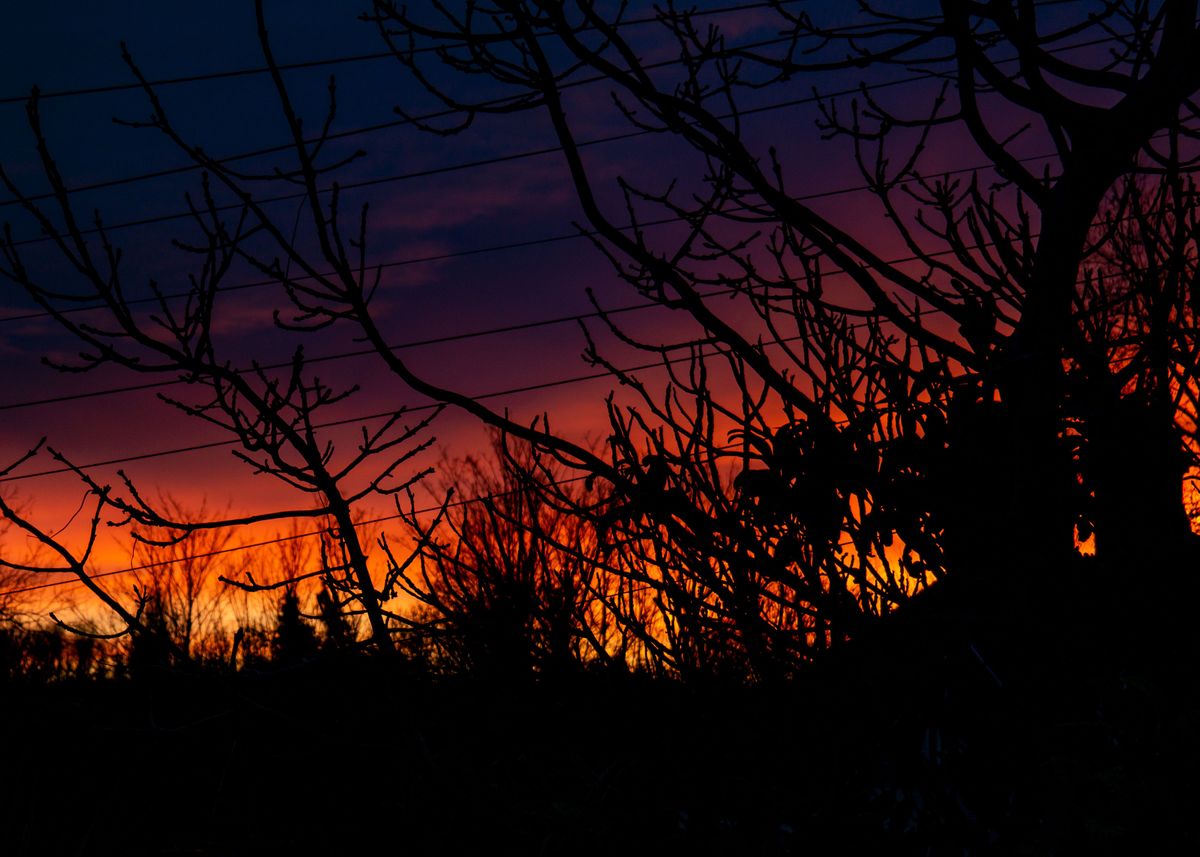 'red sky' Poster, picture, metal print, paint by Marius Z | Displate