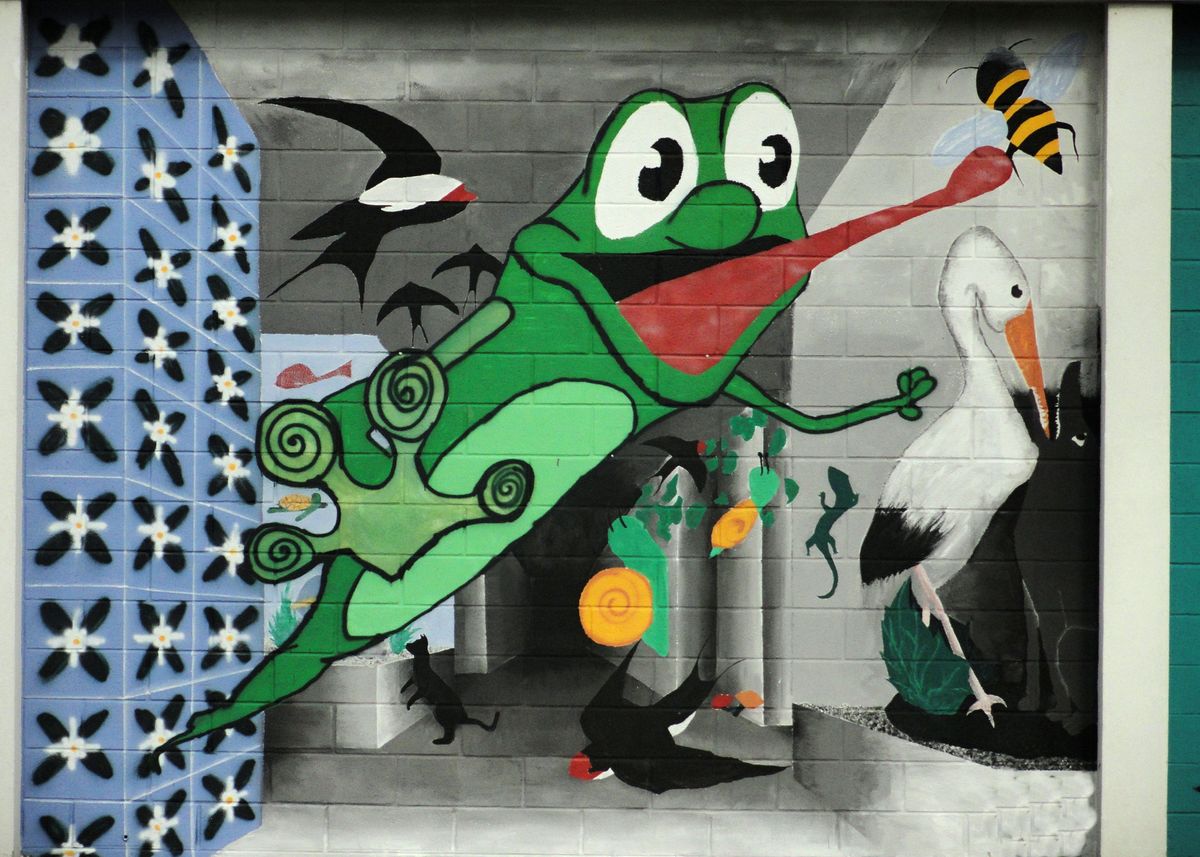'Funny Frog Graffiti ' Poster, picture, metal print, paint by ...