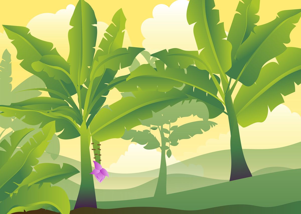'Banana Tree ' Poster, picture, metal print, paint by Leigh Horne Art ...
