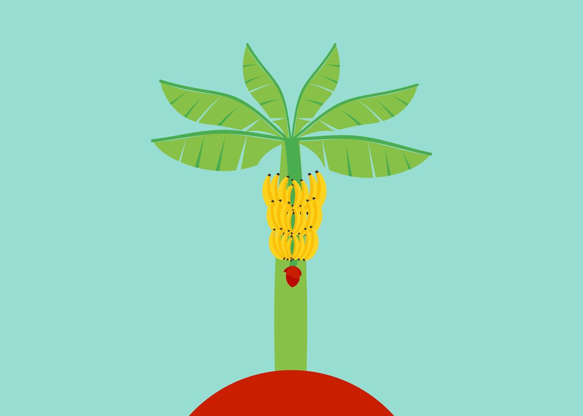 'Banana Tree ' Poster, picture, metal print, paint by Leigh Horne Art ...