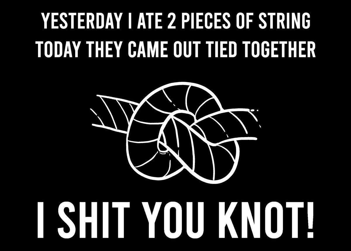 'Shit You Knot Pun Lover Gi' Poster, picture, metal print, paint by ...