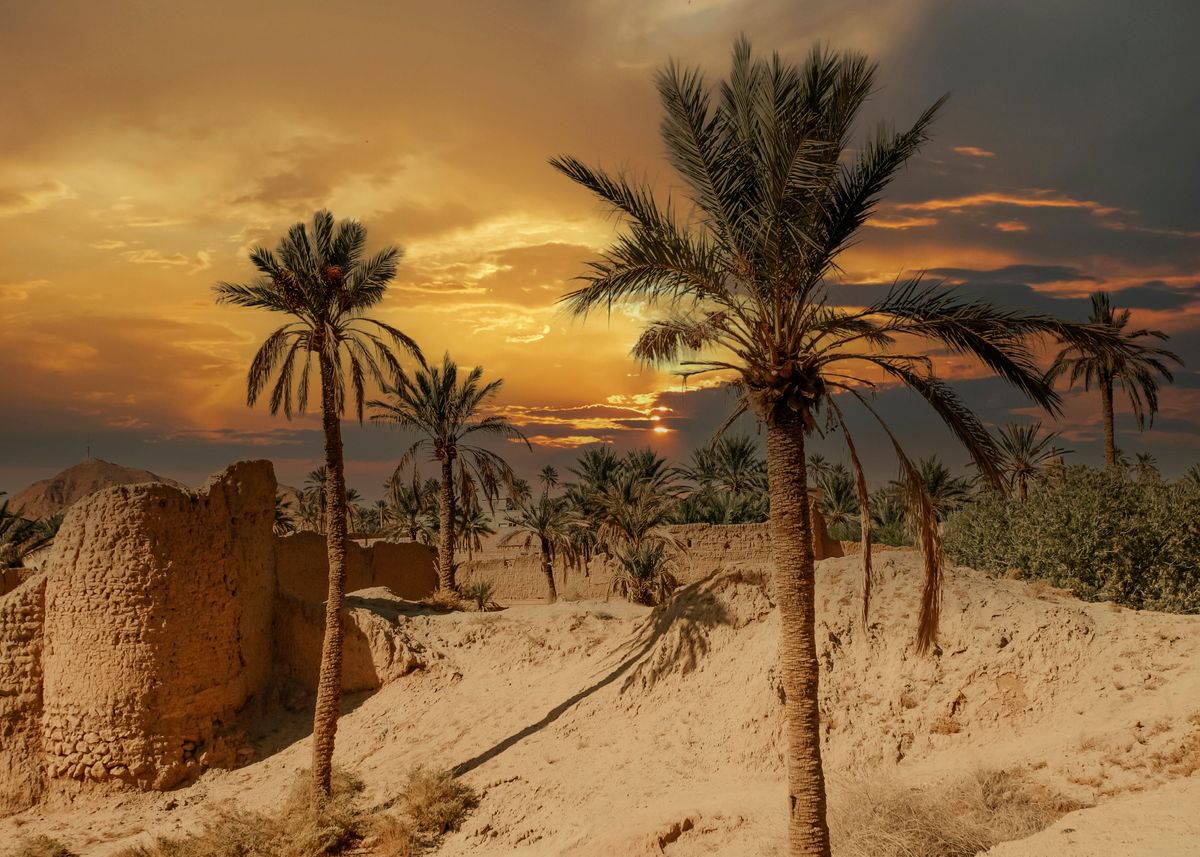 'Figuig oasis' Poster by MOHAMMED ESSEGHIR EL MANSOUR | Displate