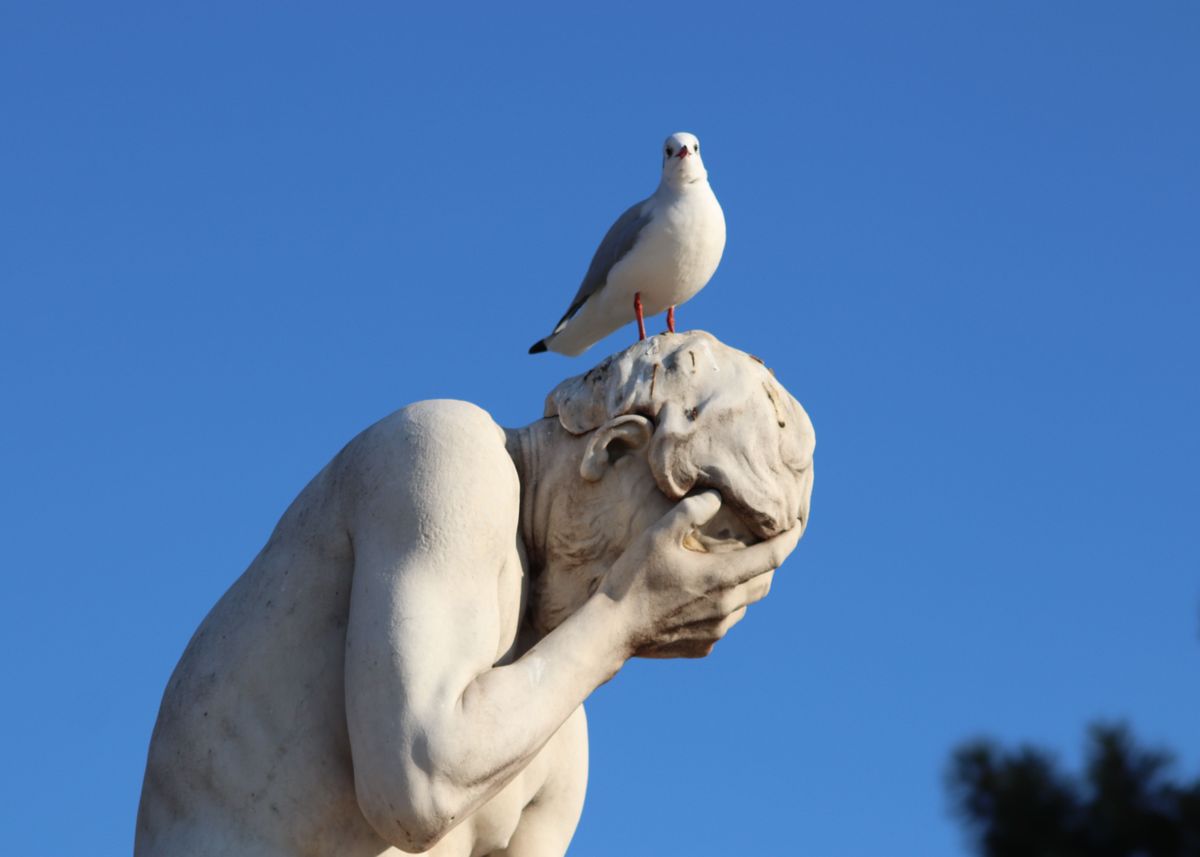 'When men weep ' Poster by Stephen Bredenkamp | Displate