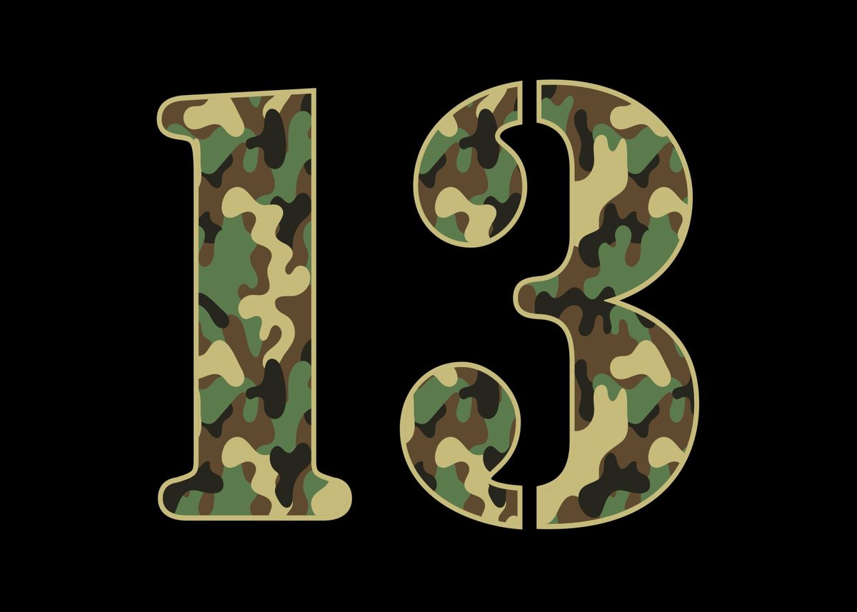 '13th Birthday Soldier Camo' Poster, picture, metal print, paint by ...
