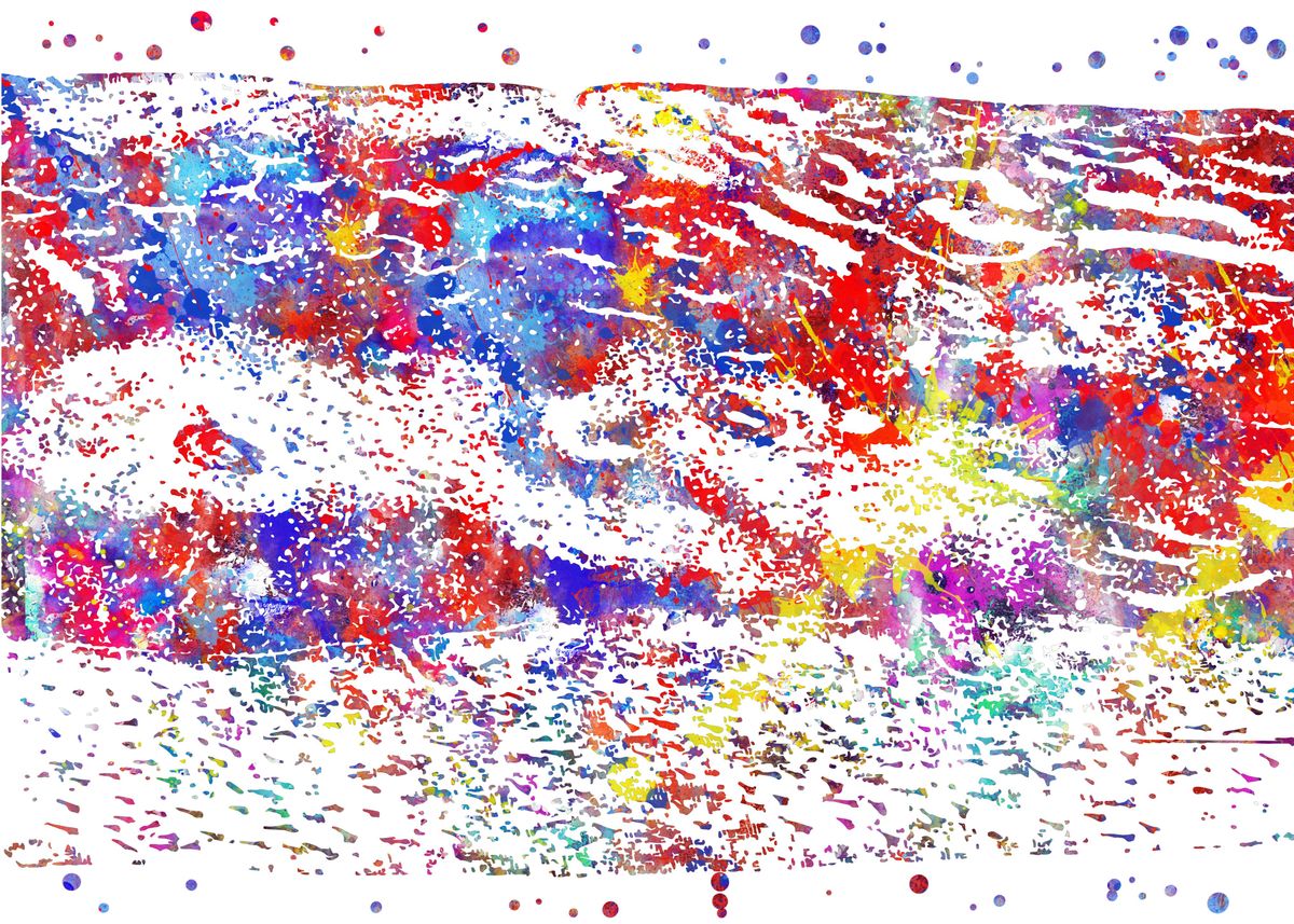 'Section of cerebral cortex' Poster, picture, metal print, paint by ...