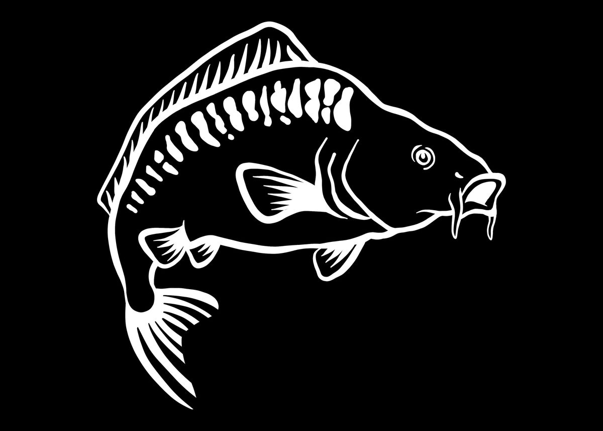 'Carp' Poster, picture, metal print, paint by Designzz | Displate