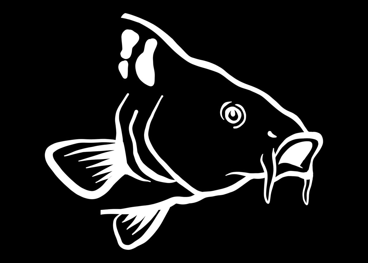 'Fishing Carp' Poster by Designzz | Displate