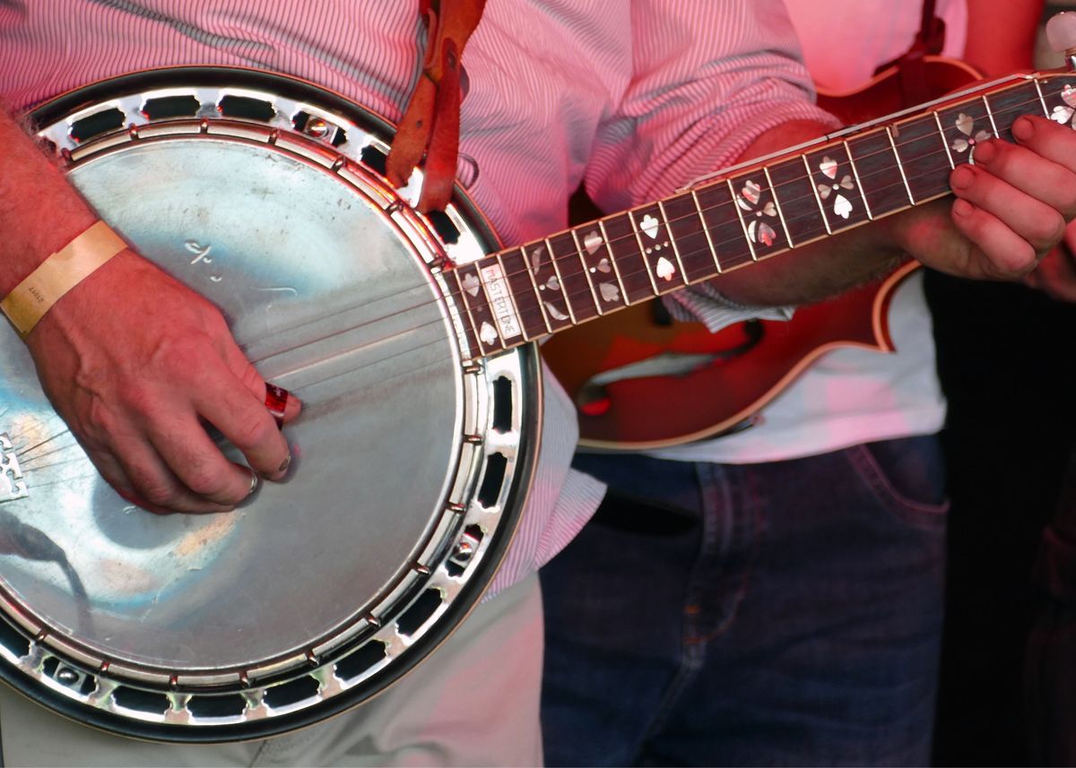 'Banjo Twang ' Poster, picture, metal print, paint by Stephen ...