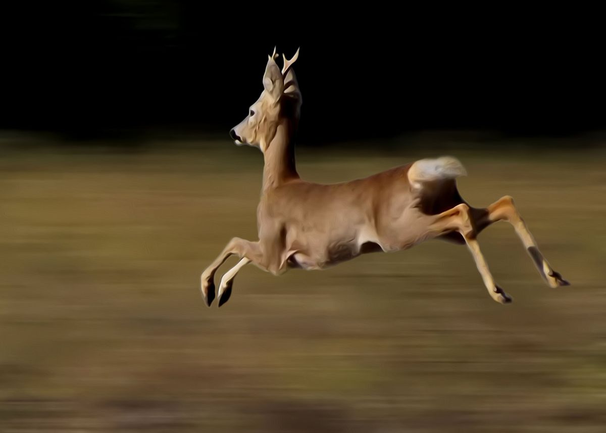 'Jumping roebuck' Poster, picture, metal print, paint by Gyula Gvardián ...