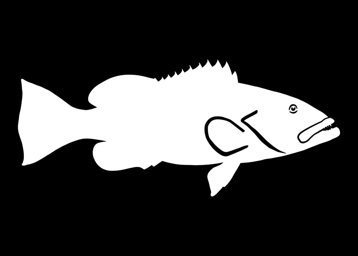 'Grouper' Poster, picture, metal print, paint by Designzz | Displate