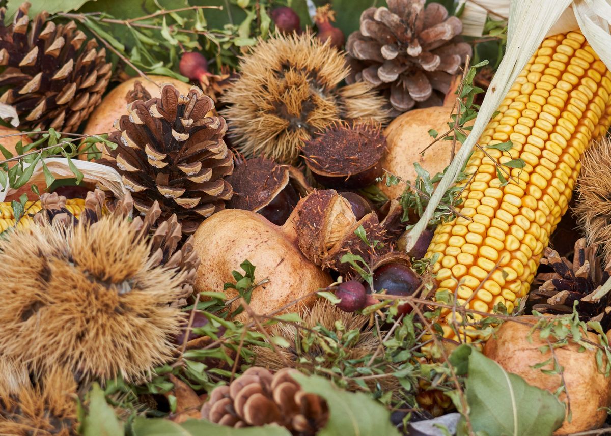 'cob chestnut curd ' Poster, picture, metal print, paint by Ornella ...