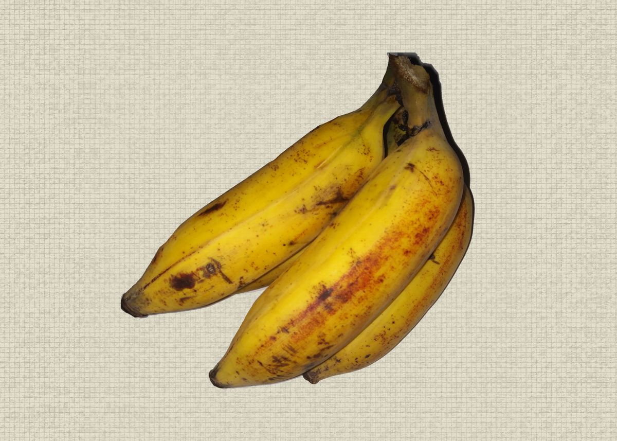 'Njalipoovan Pazham ' Poster by Bijish Habib | Displate