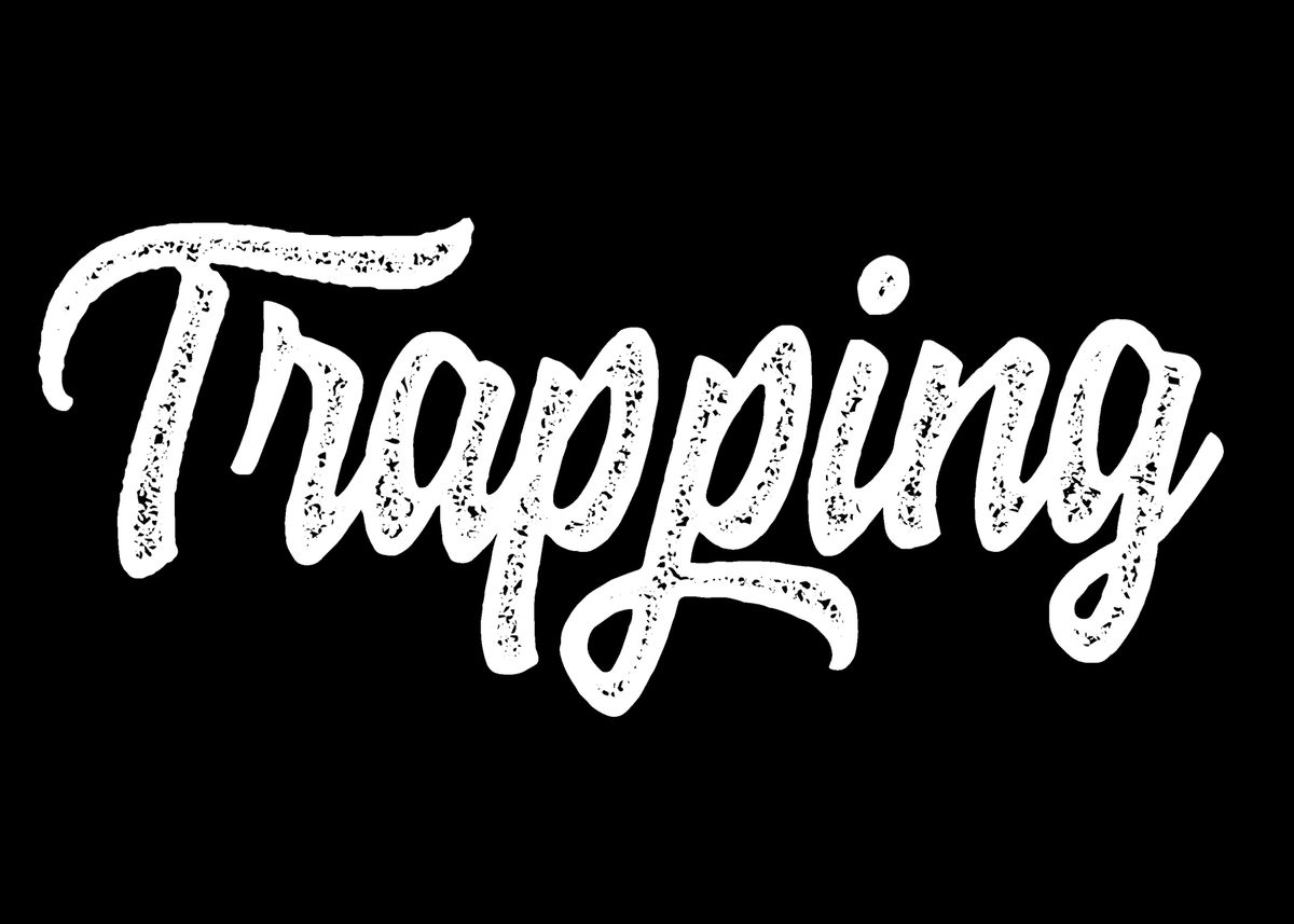'Trapping' Poster, picture, metal print, paint by dr3designs | Displate