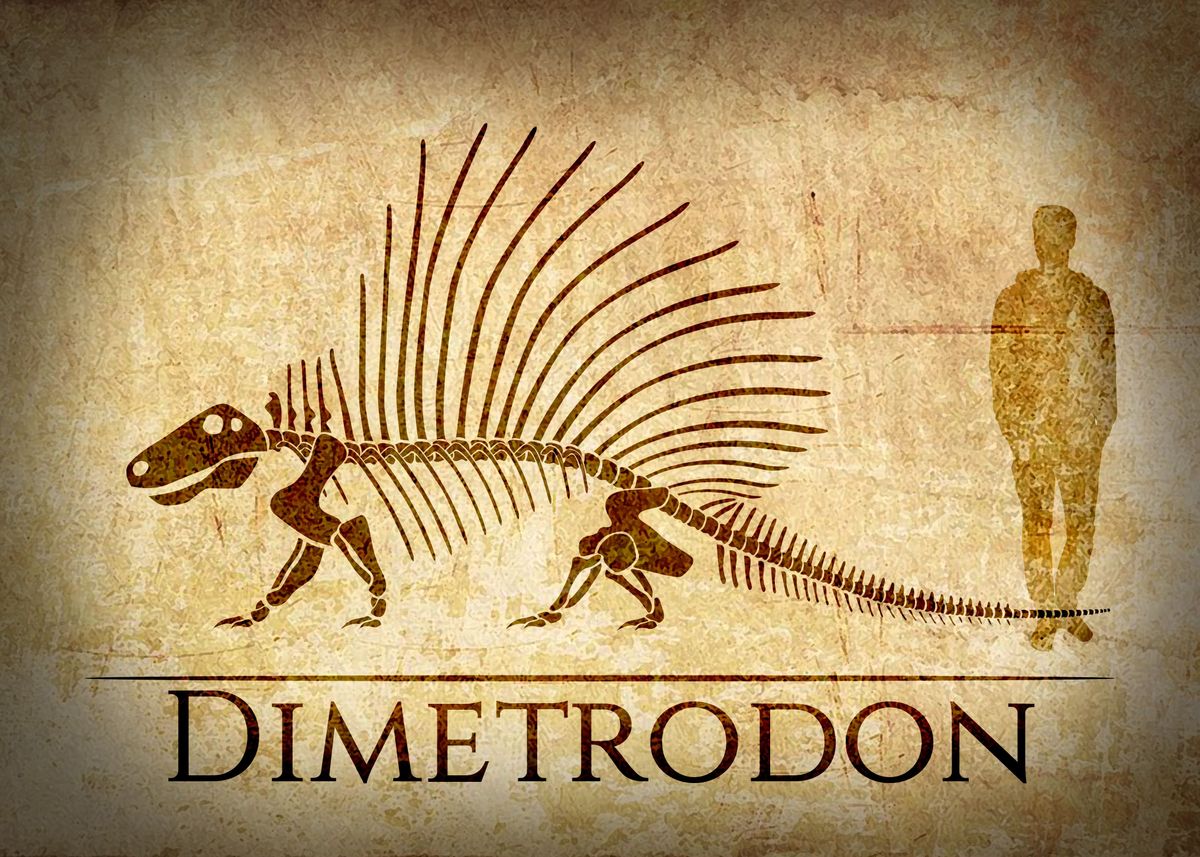 'Dimetrodon Skeleton' Poster, picture, metal print, paint by Meca ...