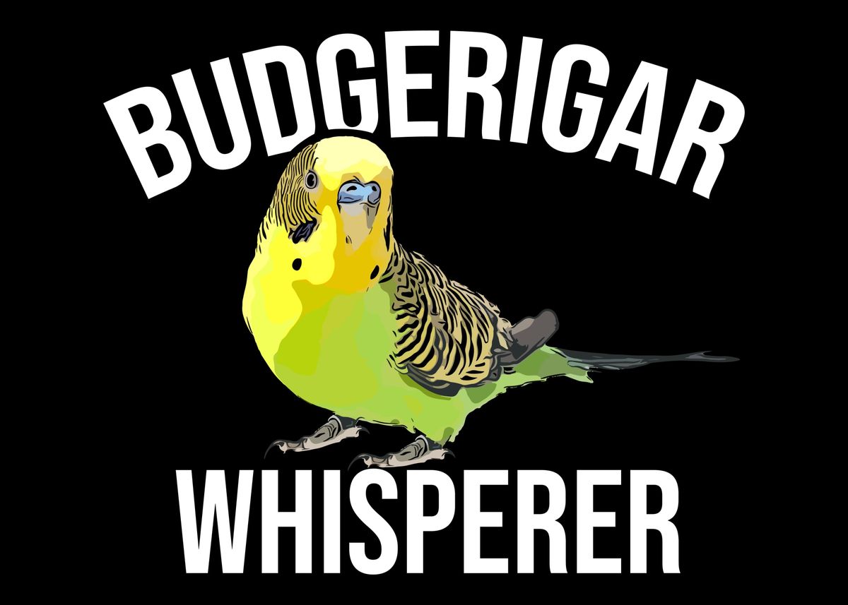 'Budgerigar Whisperer Budge' Poster, picture, metal print, paint by ...