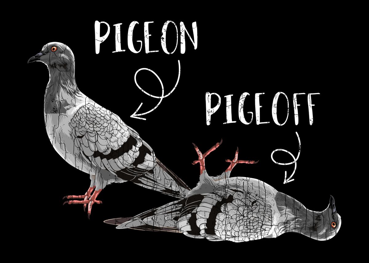 'Pigeon Pigeoff Apparel Pig' Poster by OffPlate Designs | Displate