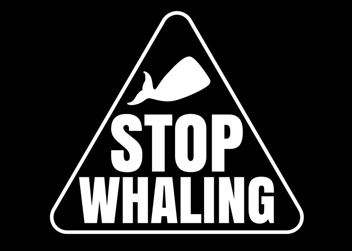 'Stop whaling' Poster, picture, metal print, paint by dr3designs | Displate