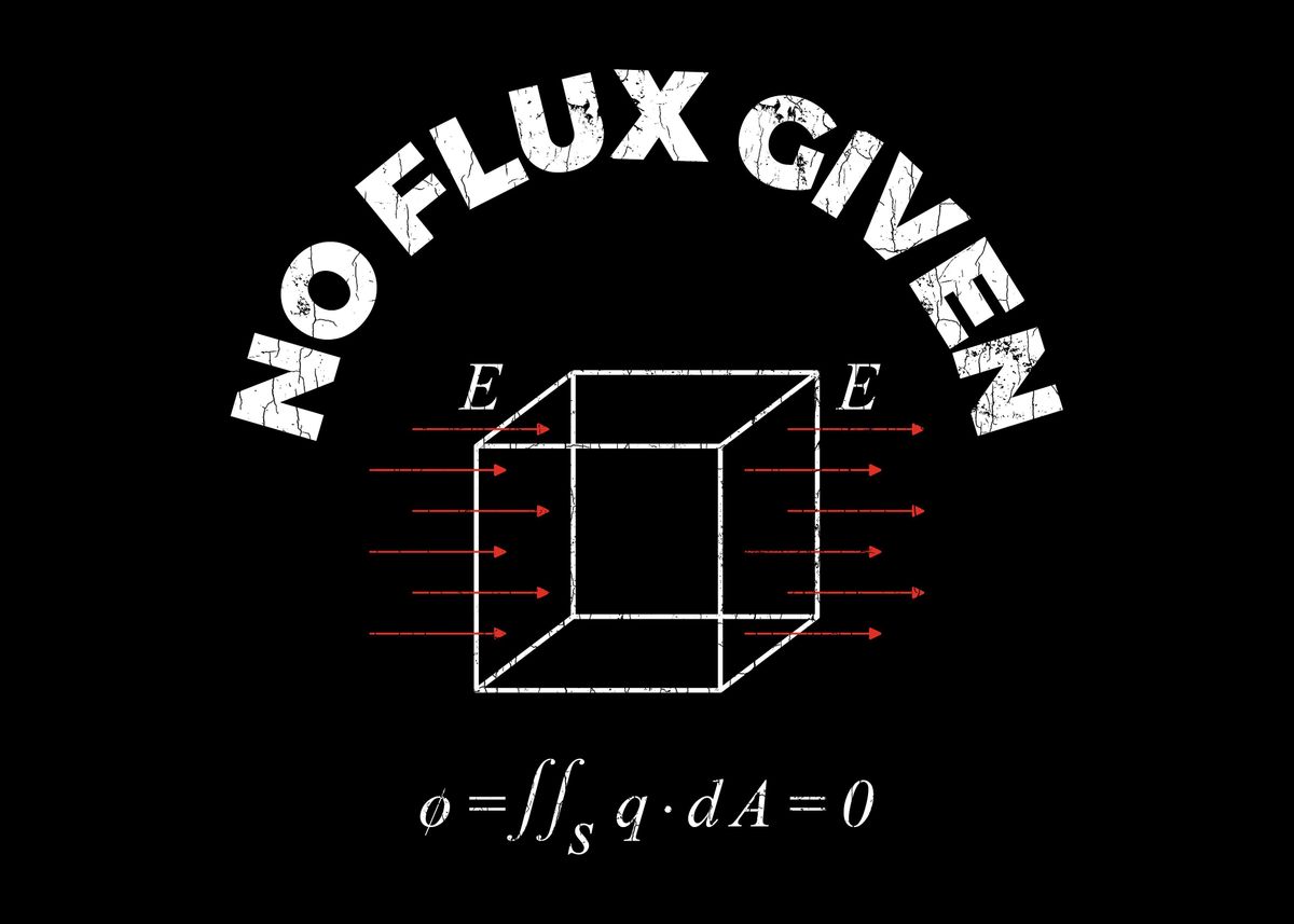 'No Flux Given T Shirt Phys' Poster, picture, metal print, paint by ...
