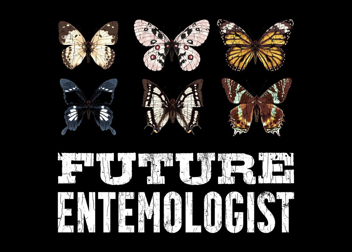'Entomologist Insect Shirt ' Poster, picture, metal print, paint by ...
