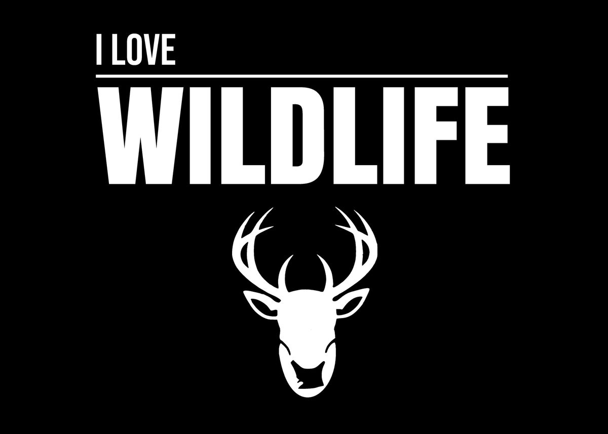 'I love Wildlife' Poster by dr3designs | Displate