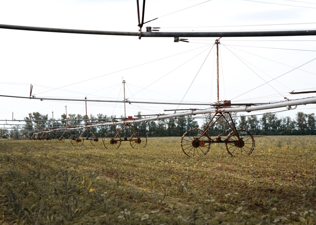 'Irrigation' Poster, picture, metal print, paint by NAMA | Displate
