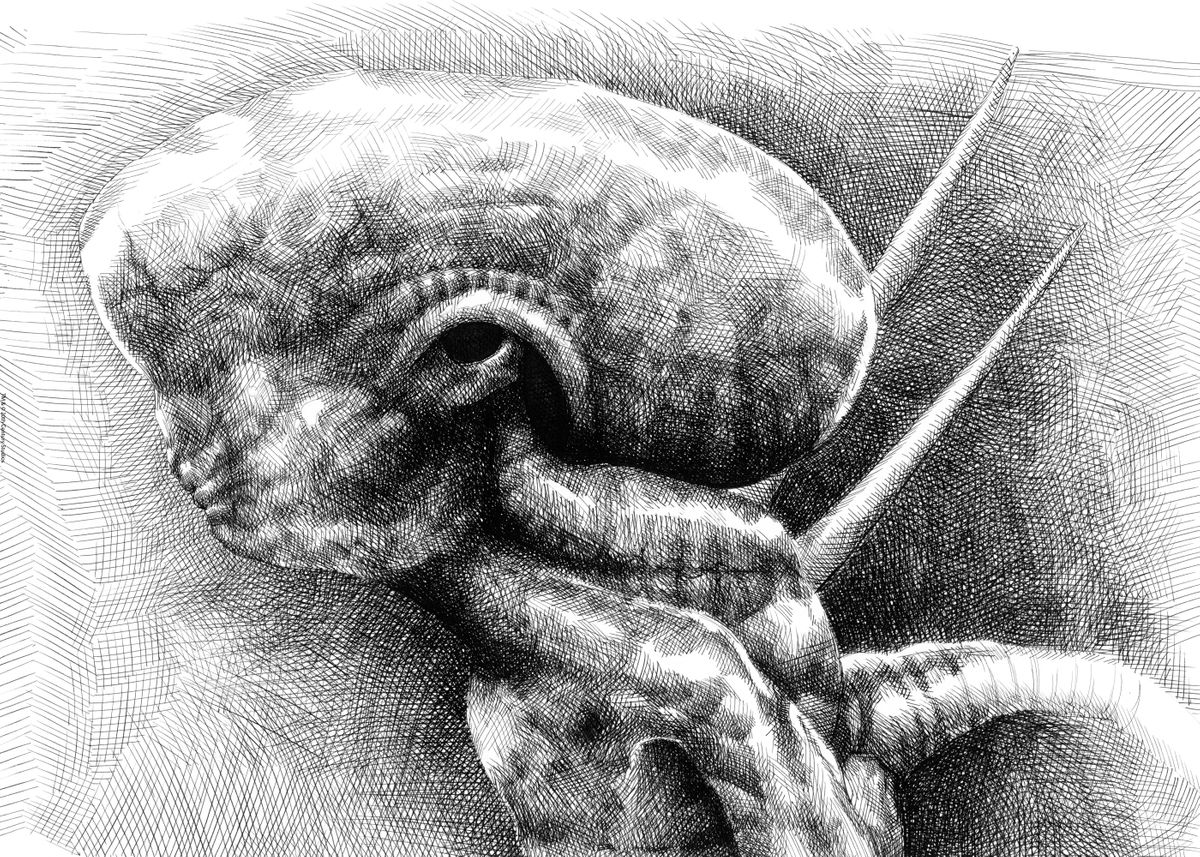 'Young Alien Left Profile Sketch' Poster, picture, metal print, paint ...