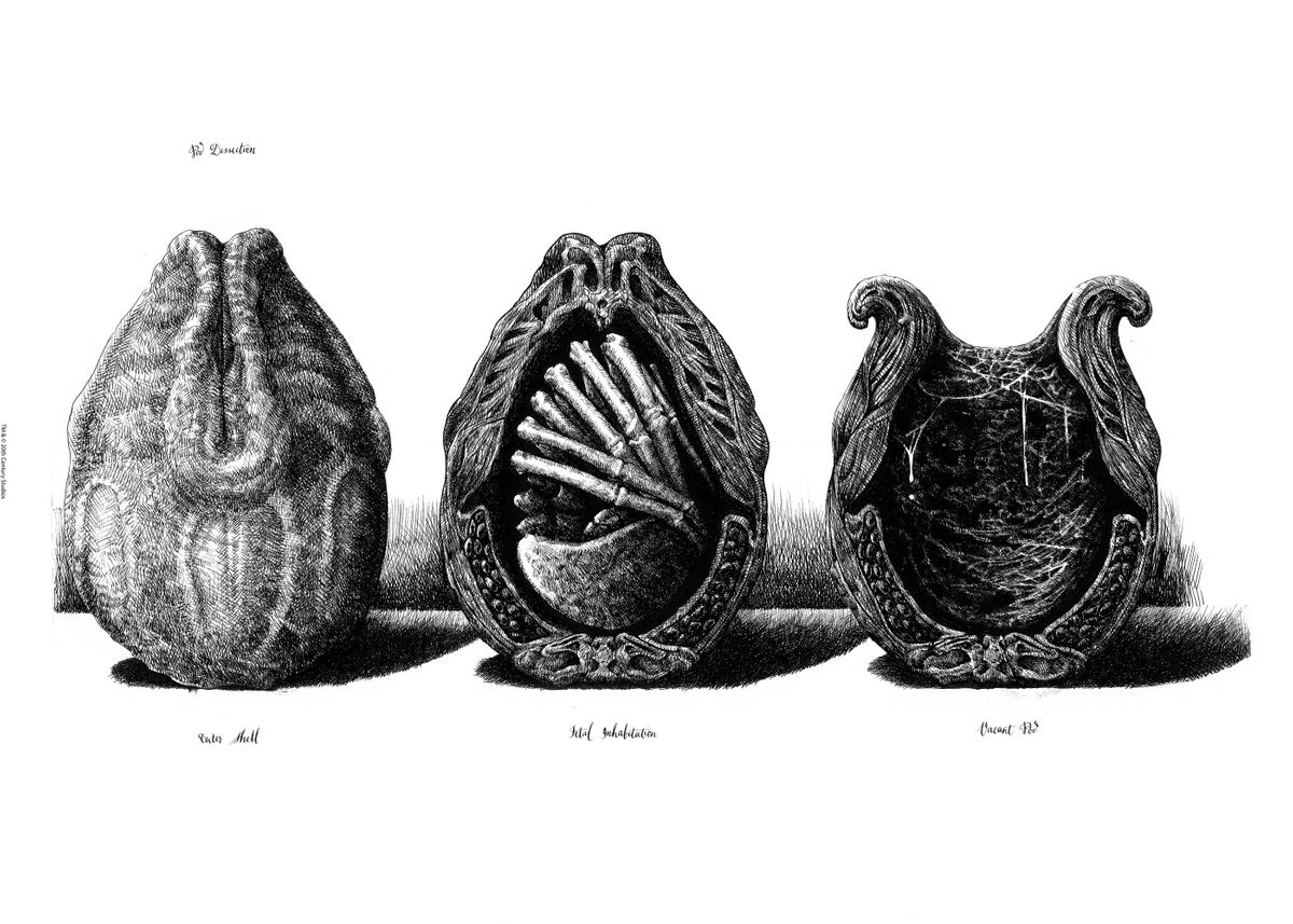 'The Alien Birth Sketch' Poster, picture, metal print, paint by Alien ...