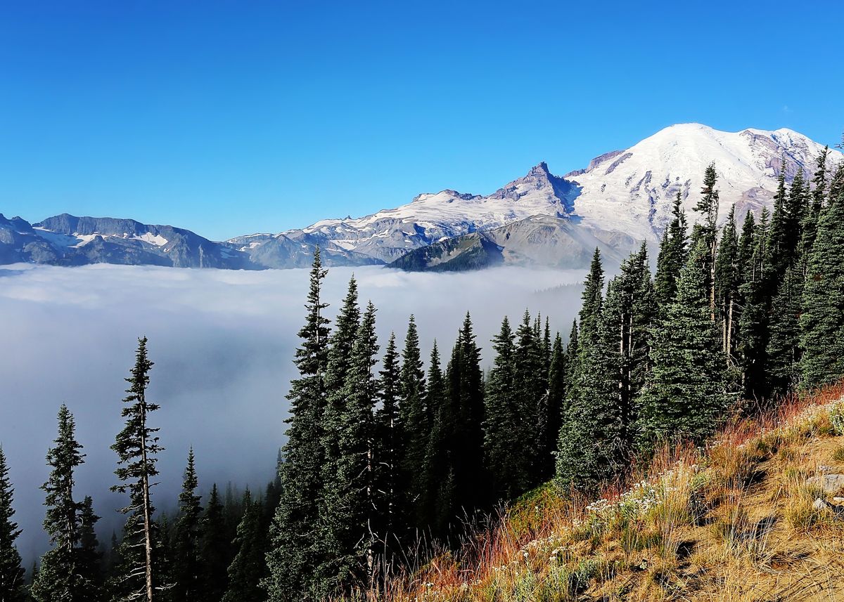 'cloud inversion' Poster, picture, metal print, paint by Sylvia Cook ...