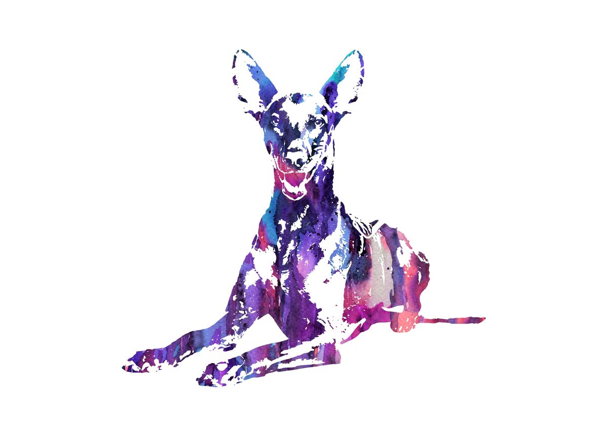 'Pharaoh hound ' Poster, picture, metal print, paint by RosaliasArt ...