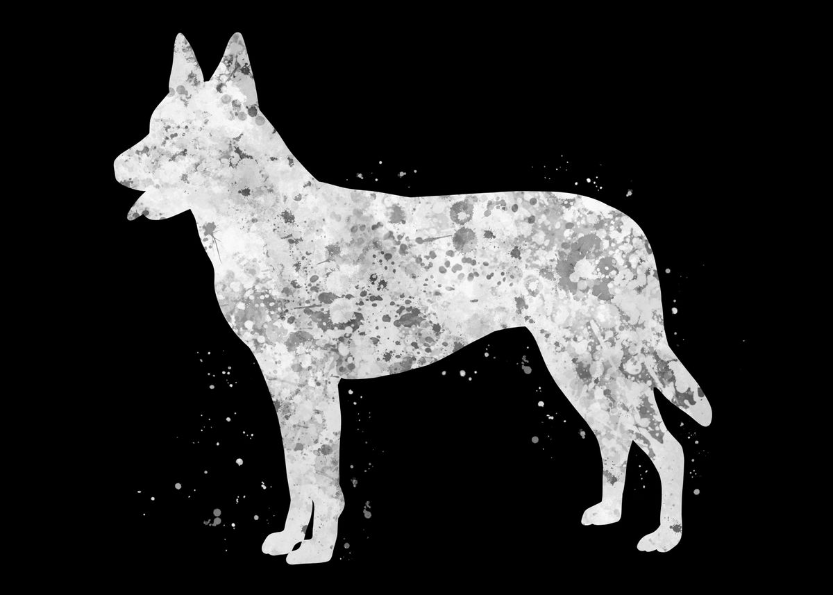 'Dutch shepherd dog' Poster by Yahya Art | Displate